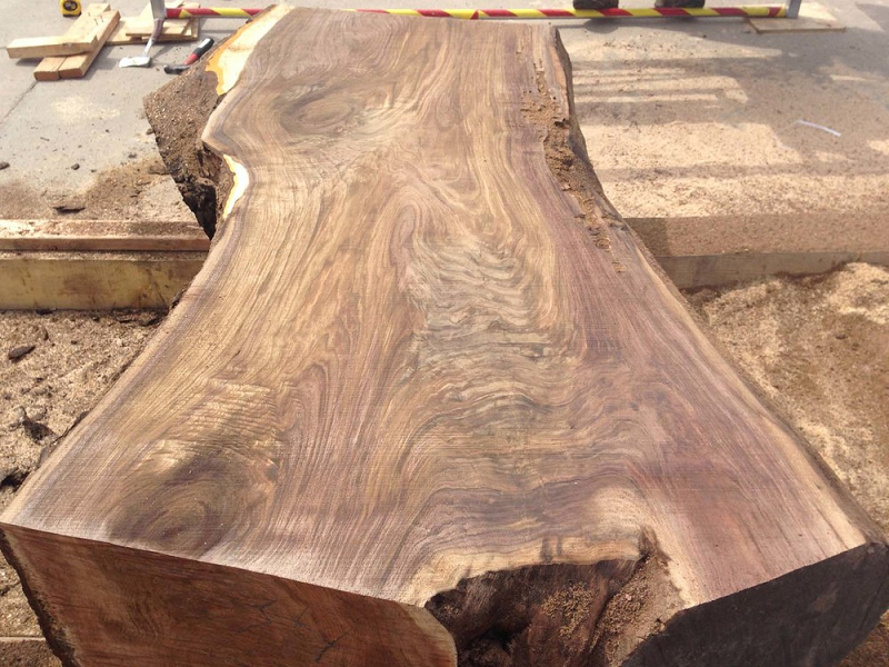 Màu gỗ óc chó tự nhiên - màu của vẻ đẹp lịch lãm